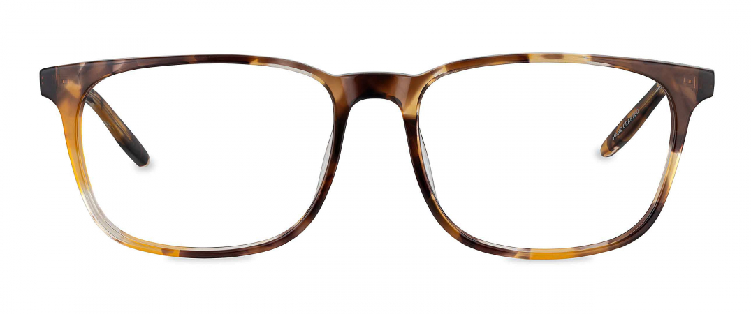 Avery Optical Glasses - Shop Eyeglasses Online - Oscar Wylee