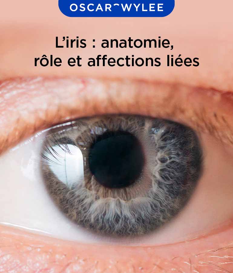 L’iris : anatomie, rôle et affections liées