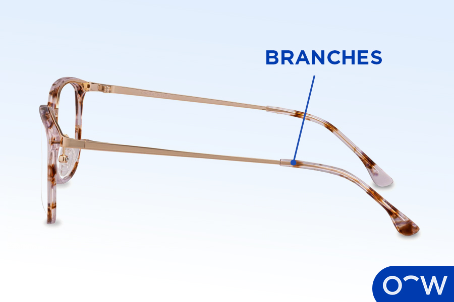 Les composants des lunettes : guide de l’anatomie des lunettes