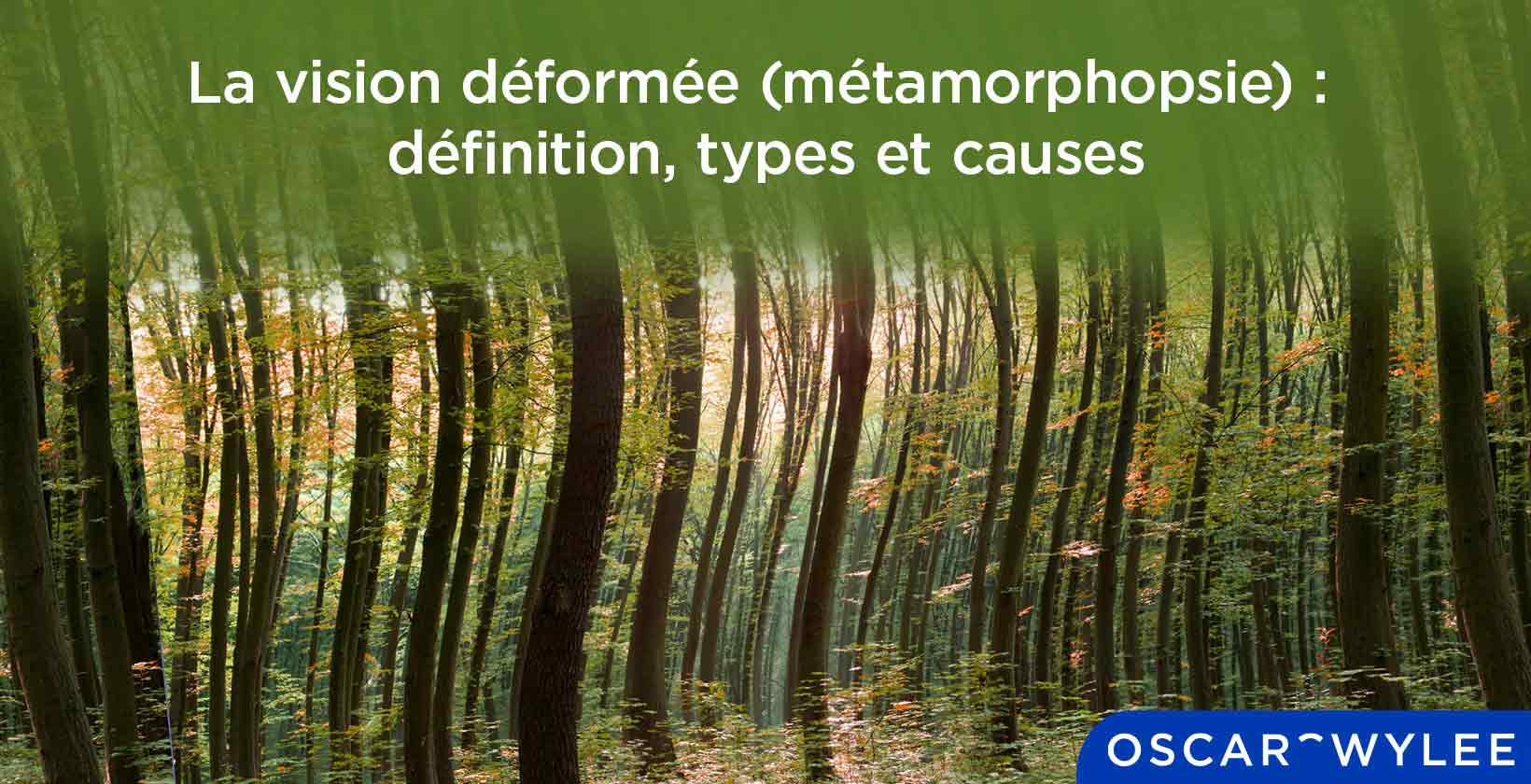 La vision déformée (métamorphopsie) : définition, types et causes