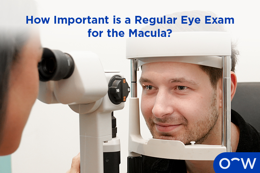 Macula: Anatomy, Function, and Macula-related Conditions