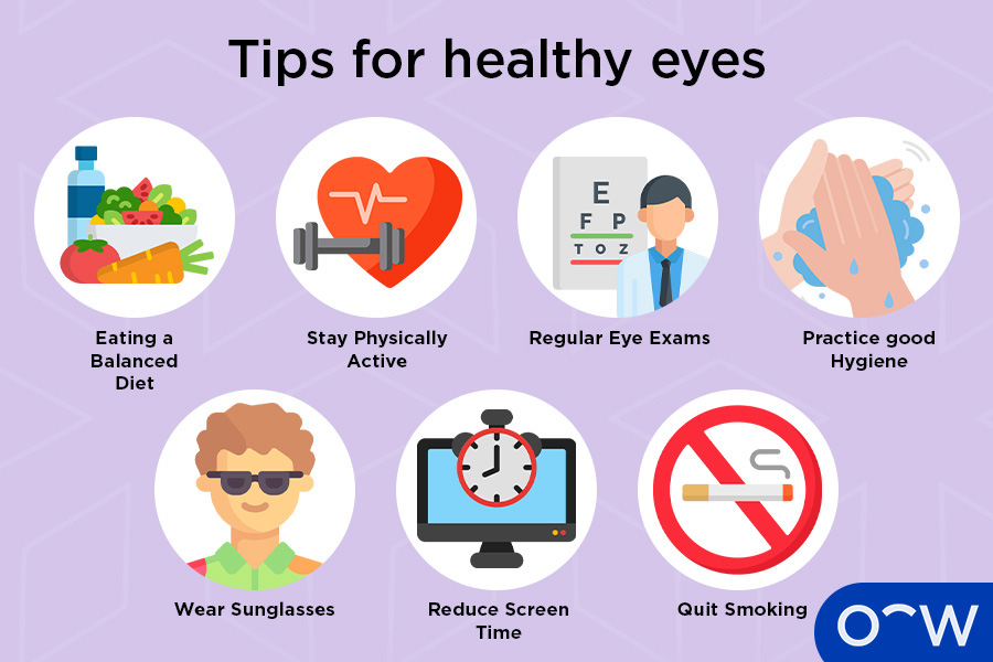 The 10 Best Vitamins for Eye Supplements: What Should You Know