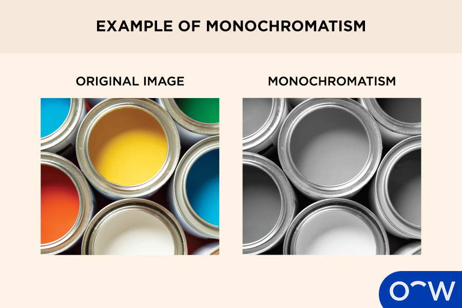 A Comprehensive Guide to Different Types of Color Blindness