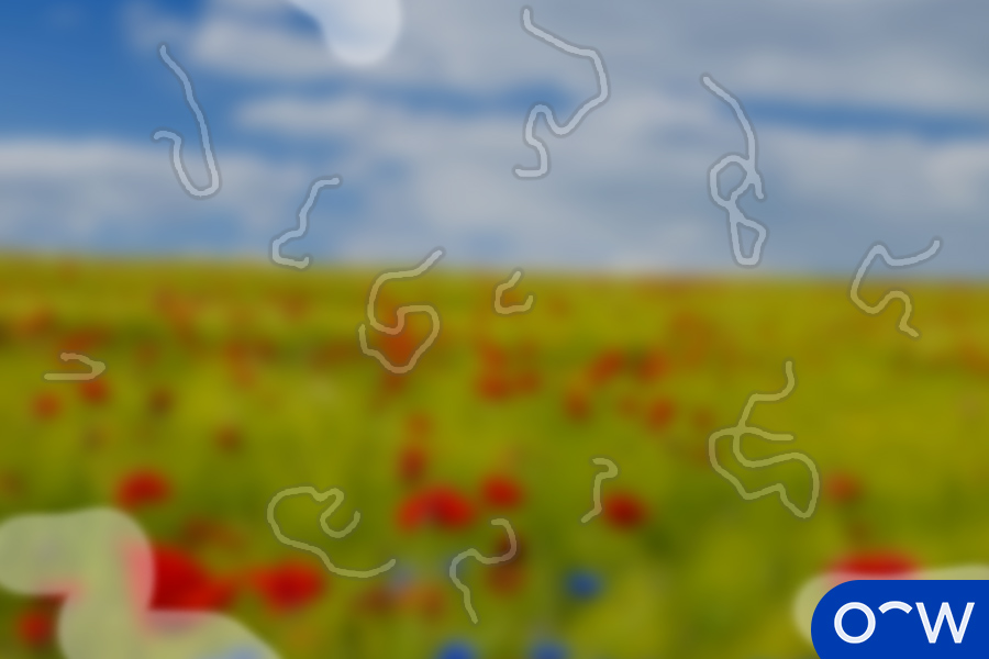 Eye Floaters: Definition, Causes, Symptoms, and Treatment