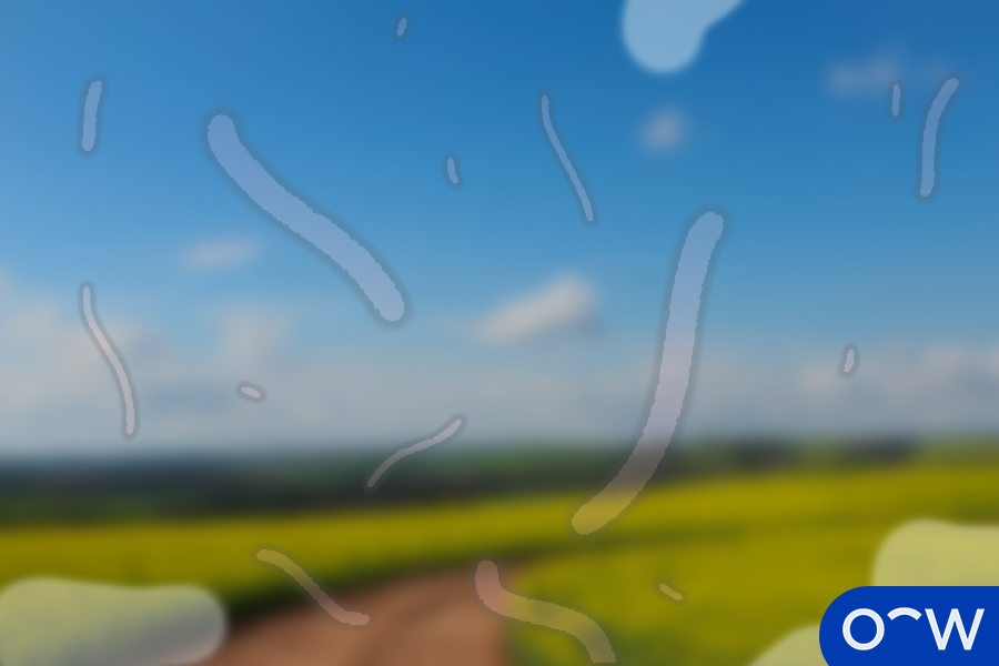 Eye Floaters: Definition, Causes, Symptoms, and Treatment