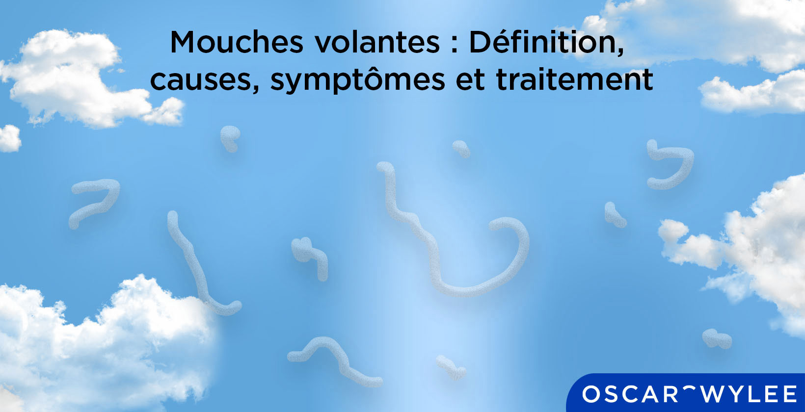 Mouches volantes : Définition, causes, symptômes et traitement