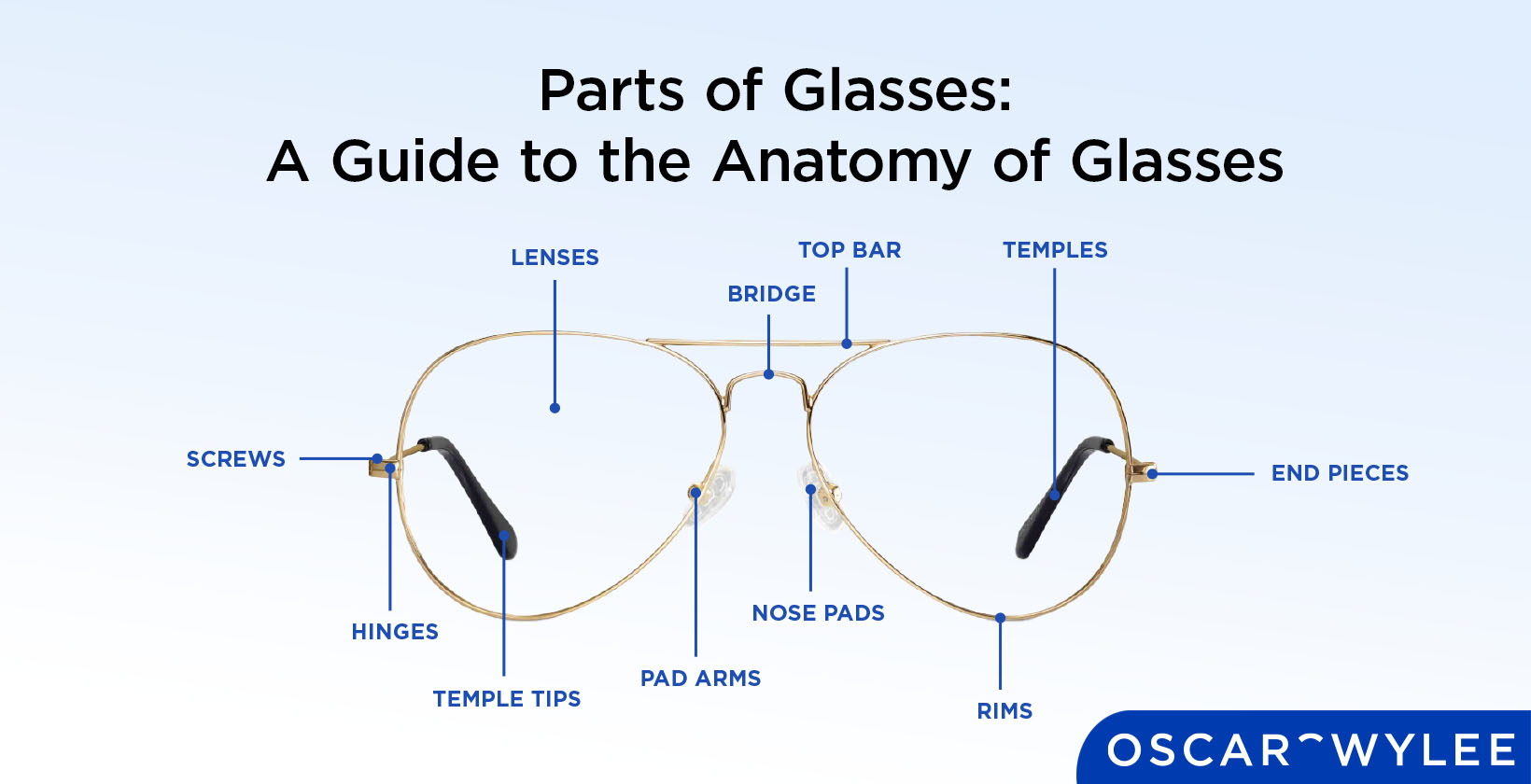 Parts of Glasses: Guide Anatomy of Glasses